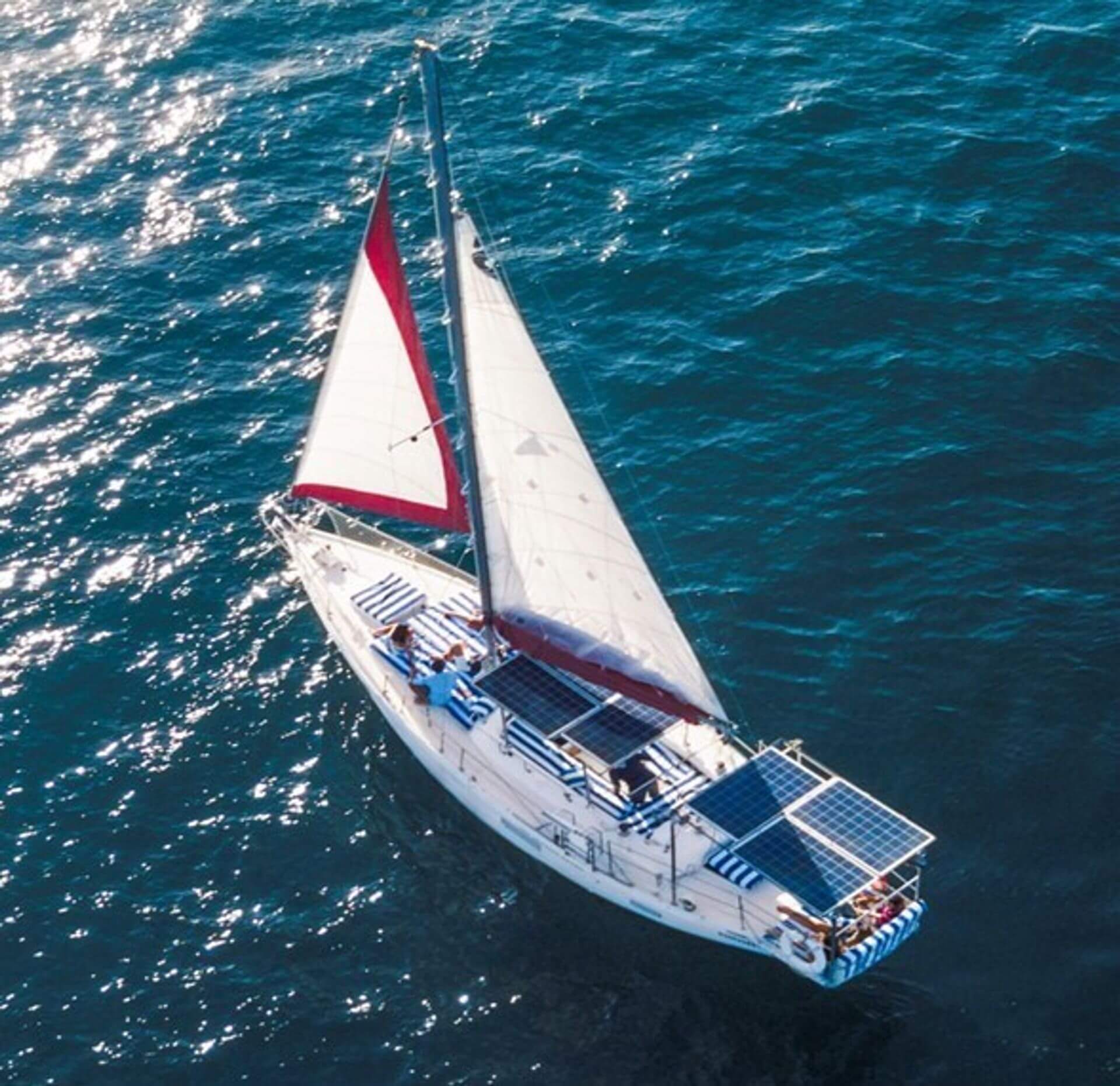 Cabo Sails - Private Sailing, Snorkeling and Whale Watching Tours